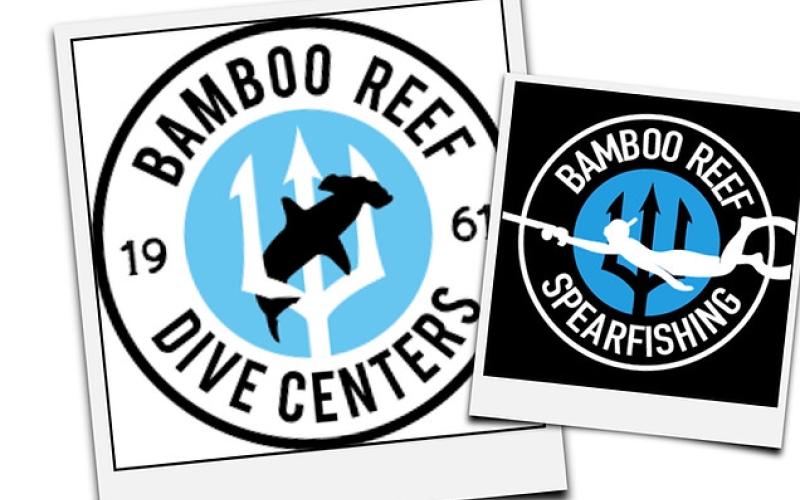 Bamboo Reef Dive Shop Gift Certificates | Lighthouse District