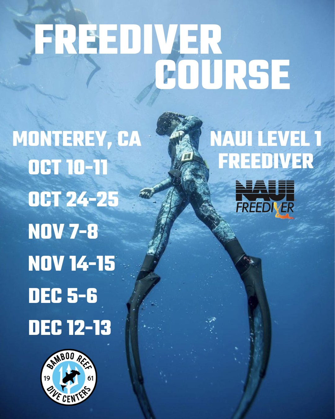 Freediving Courses Hosted by Bamboo Reef in October | Lighthouse District