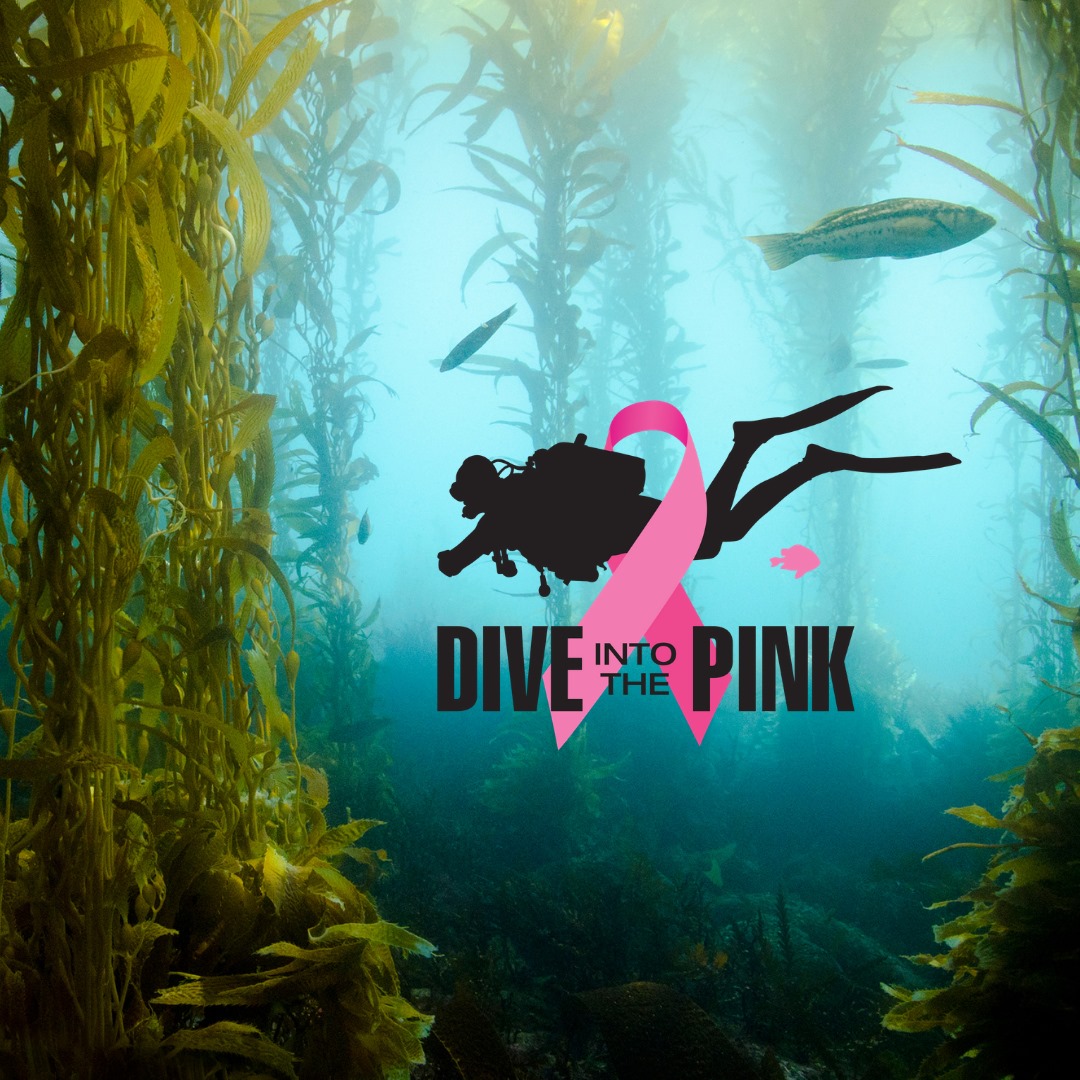 McAbee Beach Dive Tours on Oct. 25 | Lighthouse District